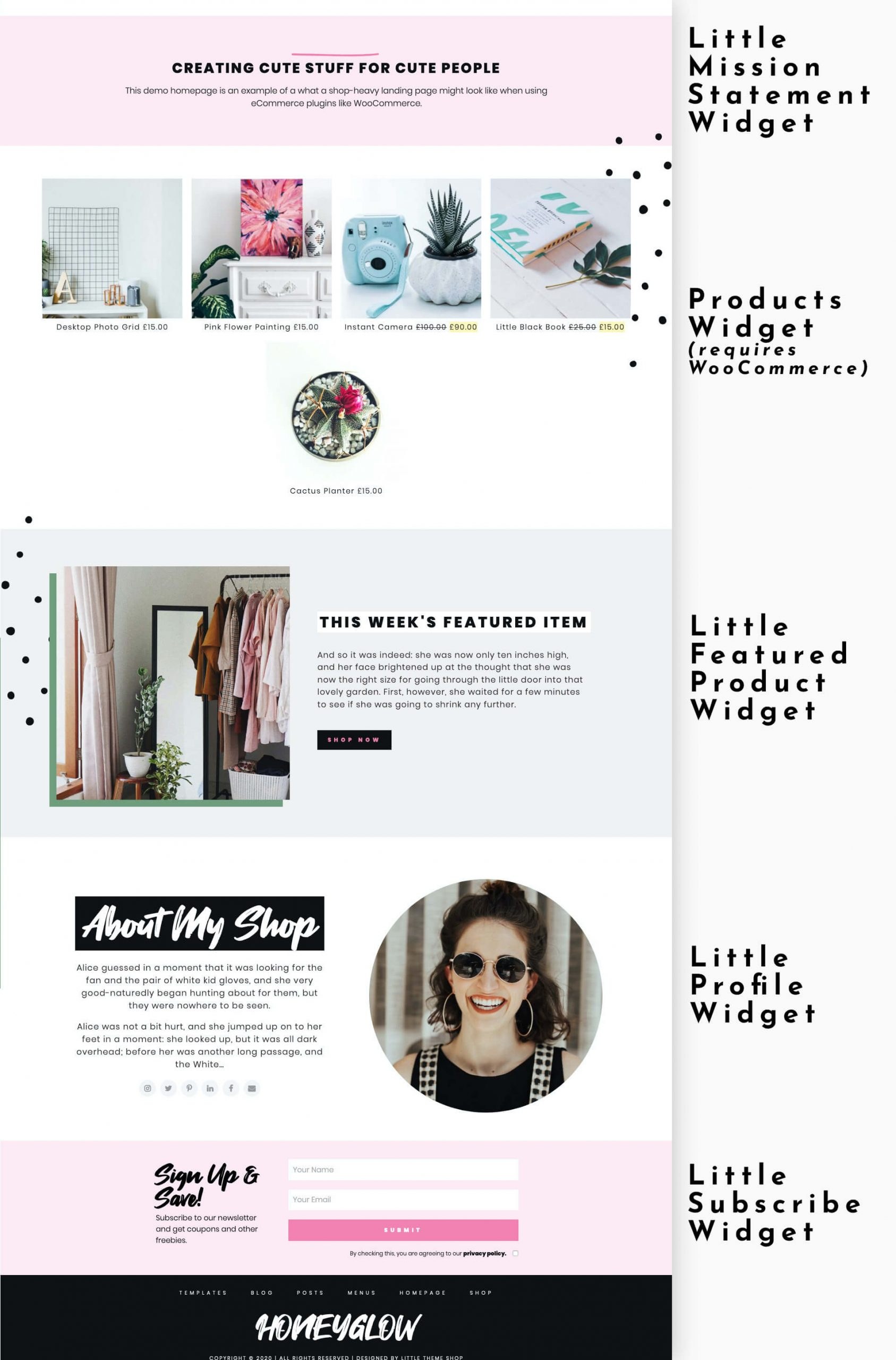 Tutorial: Setting Up the Demo Homepages Manually – Little Theme Shop